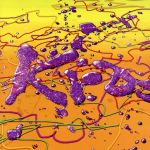 Kra販売会社/発売会社：キングレコード（株）(キングレコード（株）)発売年月日：2008/01/23JAN：4988003349325ミニ・アルバム『Creatures』以来約3ヶ月ぶりのシングル。通常盤にはBonusTrackとして「屋...