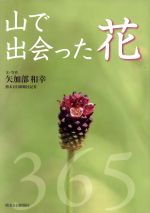 矢加部和幸(著者),熊日サービス開発株式会社(著者)販売会社/発売会社：熊本日日新聞情報文化センター発売年月日：2010/10/01JAN：9784877553784