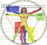 fifi販売会社/発売会社：（株）クリア(（株）MPD　ビーエムドットスリー事業グループ)発売年月日：2011/05/25JAN：45622386303992009年東京で結成したfifiのセカンド・シングル。ライヴに絶対の自信を持つ彼らの...