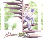 （アニメーション）,吉野裕行,岡本信彦,鳥海浩輔,岸尾だいすけ販売会社/発売会社：セツナプロジェクト(（株）MPD　ビーエムドットスリー事業グループ)発売年月日：2011/01/21JAN：4582334770201