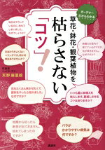 天野麻里絵(著者)販売会社/発売会社：講談社発売年月日：2019/03/14JAN：9784062209304
