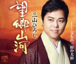 三山ひろし販売会社/発売会社：日本クラウン（株）(クラウン徳間ミュージック販売（株）)発売年月日：2019/07/03JAN：4988007288897三山ひろしが「望郷山河」に加えて、強力な2曲のオリジナル曲を加えた感謝盤をリリース！　（...
