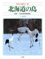 サイエンス販売会社/発売会社：小学館発売年月日：1985/04/01JAN：9784095730080