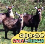 CHILD　STOP販売会社/発売会社：SCHOOL　BUS　RECORDS(（株）ヴィヴィド・サウンド・コーポレーション)発売年月日：2007/08/22JAN：45195521028422001年に福岡で結成されたパンク・バンドのファー...