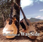 WaySide販売会社/発売会社：WS企画(（株）メタ　カンパニー)発売年月日：2010/11/21JAN：4540862900231