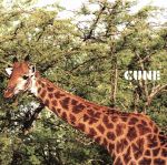 CUNE販売会社/発売会社：ユニバーサルミュージック　ポリドール(ユニバーサルミュージック)発売年月日：2002/11/06JAN：4988005315533TV：TBS系ドラマ『おとうさん』（毎週日曜21：00〜／出演：田村正和、飯島直子...