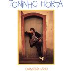 ToninhoHorta販売会社/発売会社：PolygramRecords発売年月日：1992/07/28JAN：0042283518322
