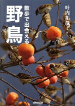 叶内拓哉(著者)販売会社/発売会社：成美堂出版発売年月日：2023/10/02JAN：9784415333496