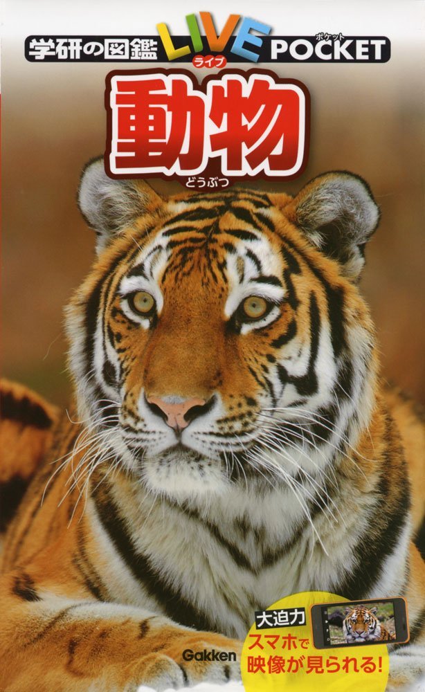 【30日間返品保証】商品説明に誤りがある場合は、無条件で弊社送料負担で商品到着後30日間返品を承ります。【最短翌日到着】正午12時まで（日曜日は午前9時まで）の注文は当日発送（土日祝も発送）。関東・関西・中部・中国・四国・九州地方は翌日お届...