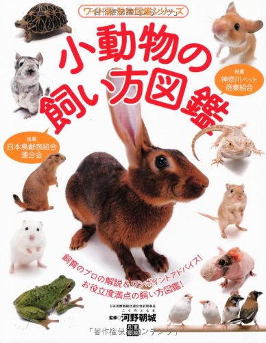 【30日間返品保証】商品説明に誤りがある場合は、無条件で弊社送料負担で商品到着後30日間返品を承ります。【最短翌日到着】正午12時まで（日曜日は午前9時まで）の注文は当日発送（土日祝も発送）。関東・関西・中部・中国・四国・九州地方は翌日お届...
