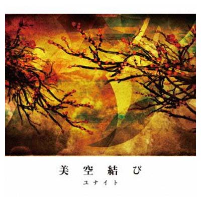 ◇◆朝9時までのご注文は当日出荷(日曜日除く)◆主にゆうメールによるポスト投函、サイズにより宅配便になります。◆梱包：完全密封のビニール包装または宅配専用パックにてお届けいたします。◆帯、封入物、及び各種コード等の特典は無い場合もございます...