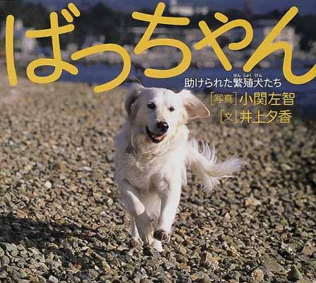 ◇◆主にゆうメールによるポスト投函、サイズにより宅配便になります。◆梱包：完全密封のビニール包装または宅配専用パックにてお届けいたします。◆帯、封入物、及び各種コード等の特典は無い場合もございます◆商品画像は一例です。カバー・パッケージなど...