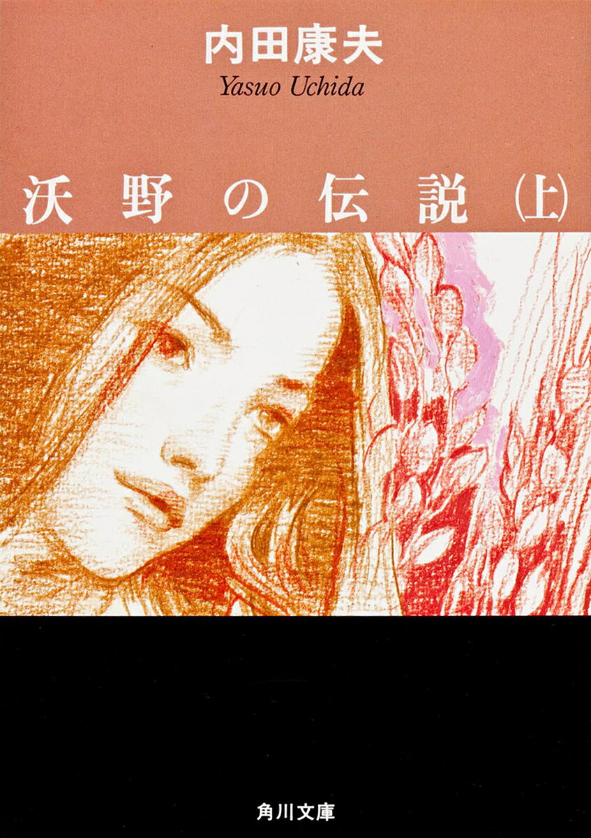 ※商品画像はイメージや仮デザインが含まれている場合があります。帯の有無など実際と異なる場合があります。著者内田康夫(著)出版社角川書店発売日1999年10月ISBN9784041607473ページ数329Pキーワードよくやのでんせつ1かどか...