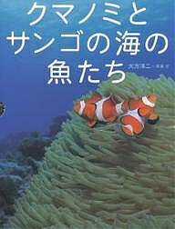 著者大方洋二(著)出版社岩崎書店発売日2007年07月ISBN9784265043552ページ数31Pキーワードプレゼント ギフト 誕生日 子供 クリスマス 子ども こども くまのみとさんごのうみのさかなたち クマノミトサンゴノウミノサカナ...