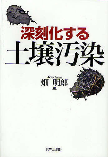 ※商品画像はイメージや仮デザインが含まれている場合があります。帯の有無など実際と異なる場合があります。著者畑明郎(編)出版社世界思想社発売日2011年01月ISBN9784790715030ページ数258Pキーワードしんこくかするどじようお...