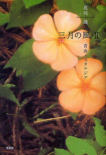 著者葛城護(著)出版社文芸社発売日2010年12月ISBN9784286096773ページ数218Pキーワードさんがつのかぜ2せいしゆんのすたるじあ サンガツノカゼ2セイシユンノスタルジア かつらぎ まもる カツラギ マモル97842860...
