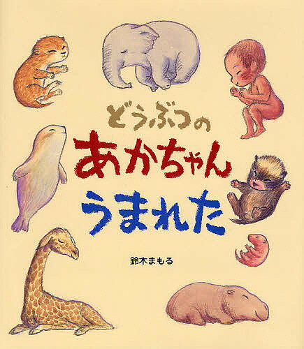 ※商品画像はイメージや仮デザインが含まれている場合があります。帯の有無など実際と異なる場合があります。著者鈴木まもる(著)出版社小峰書店発売日2008年09月ISBN9784338180283ページ数〔32P〕キーワードえほん 絵本 プレゼ...