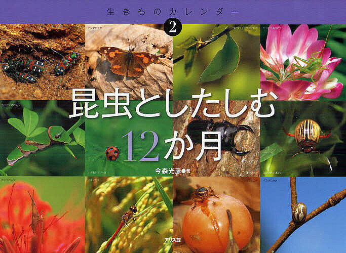 ※商品画像はイメージや仮デザインが含まれている場合があります。帯の有無など実際と異なる場合があります。著者今森光彦(著) すがわらけいこ(絵)出版社アリス館発売日2011年06月ISBN9784752005506ページ数56Pキーワードプレ...