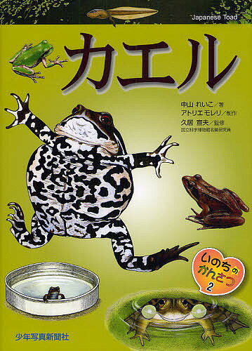 著者中山れいこ(著) アトリエモレリ(制作) 久居宣夫(監修)出版社少年写真新聞社発売日2012年02月ISBN9784879814050ページ数47Pキーワードプレゼント ギフト 誕生日 子供 クリスマス 子ども こども かえるいのちのか...
