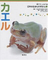 ※商品画像はイメージや仮デザインが含まれている場合があります。帯の有無など実際と異なる場合があります。著者前田憲男(写真) 安東浩(写真) CheungME(画)出版社集英社発売日2004年02月ISBN9784082200022ページ数3...