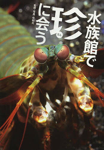 著者中村元(監修)出版社エンターブレイン発売日2013年01月ISBN9784047285293ページ数223Pキーワードすいぞくかんでちんにあう スイゾクカンデチンニアウ なかむら はじめ ナカムラ ハジメ9784047285293内容紹...