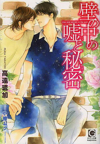著者高遠琉加(著)出版社海王社発売日2013年08月ISBN9784796404709ページ数281Pキーワードかべのなかのうそとひみつ カベノナカノウソトヒミツ たかとう るか タカトウ ルカ9784796404709内容紹介二人の秘密を...