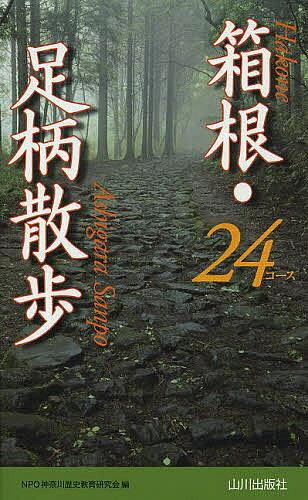 著者神奈川歴史教育研究会(編)出版社山川出版社発売日2013年07月ISBN9784634591110ページ数219Pキーワードはこねあしがらさんぽにじゆうよんこーす ハコネアシガラサンポニジユウヨンコース かながわ／れきし／きよういく／ ...