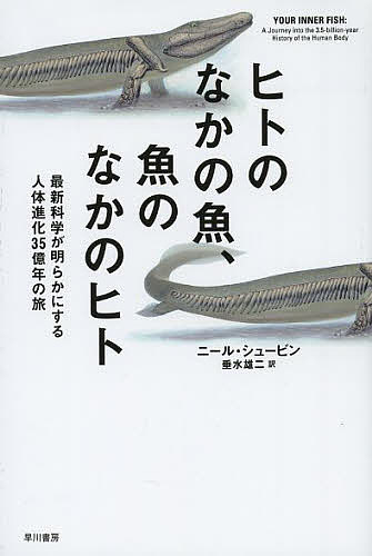 ※商品画像はイメージや仮デザインが含まれている場合があります。帯の有無など実際と異なる場合があります。著者ニール・シュービン(著) 垂水雄二(訳)出版社早川書房発売日2013年10月ISBN9784150503925ページ数342Pキーワー...