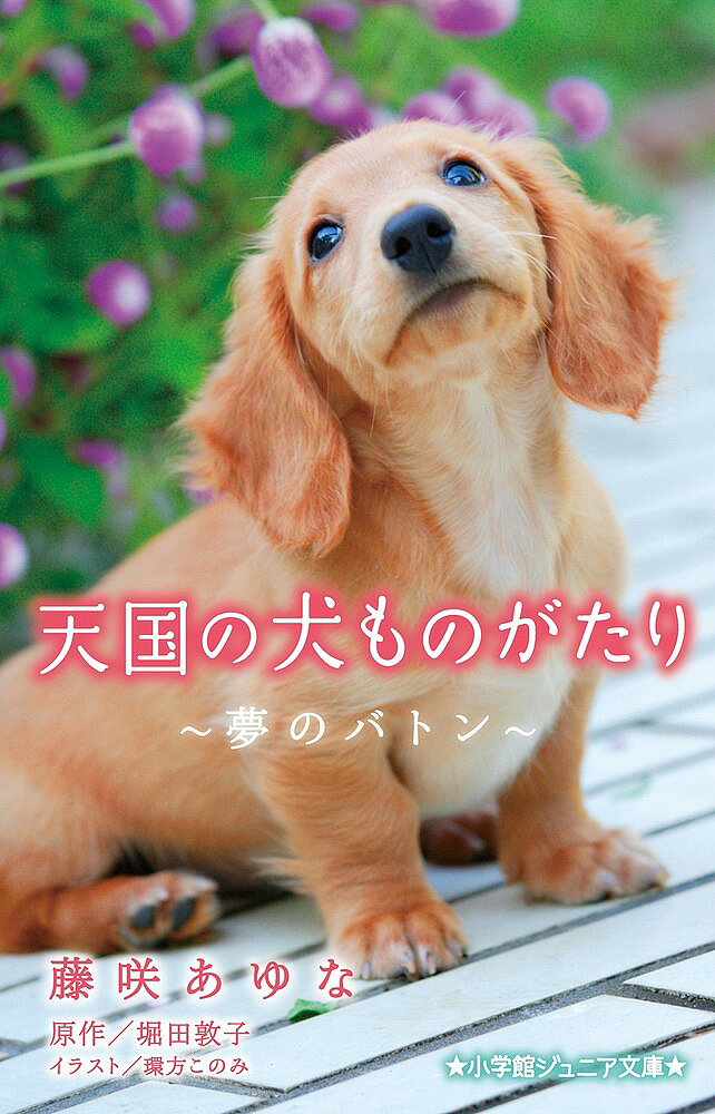 ※商品画像はイメージや仮デザインが含まれている場合があります。帯の有無など実際と異なる場合があります。著者藤咲あゆな(著) 堀田敦子(原作) 環方このみ(イラスト)出版社小学館発売日2016年02月ISBN9784092308527ページ数...