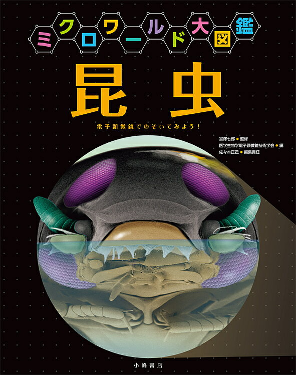 ※商品画像はイメージや仮デザインが含まれている場合があります。帯の有無など実際と異なる場合があります。著者佐々木正己(編集)出版社小峰書店発売日2016年02月ISBN9784338298032ページ数40Pキーワードプレゼント ギフト 誕...