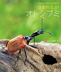 ※商品画像はイメージや仮デザインが含まれている場合があります。帯の有無など実際と異なる場合があります。著者安田守(写真)出版社岩崎書店発売日2016年03月ISBN9784265020669ページ数31Pキーワードプレゼント ギフト 誕生日...