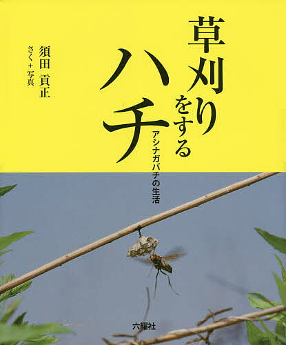 著者須田貢正(さく)出版社六耀社発売日2016年04月ISBN9784897378275ページ数29Pキーワードえほん 絵本 プレゼント ギフト 誕生日 子供 クリスマス 子ども こども くさかりおするはちあしながばちのせいかつ クサカリオ...