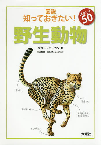 著者サリー・モーガン(著) BabelCorporation(訳)出版社六耀社発売日2017年01月ISBN9784897378770ページ数56Pキーワードプレゼント ギフト 誕生日 子供 クリスマス 子ども こども ずせつしつておきたい...