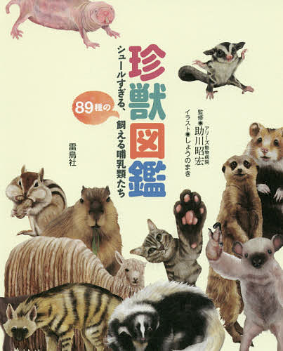 著者助川昭宏(監修) しょうのまき(イラスト)出版社雷鳥社発売日2017年03月ISBN9784844137184ページ数191Pキーワードちんじゆうずかんしゆーるすぎるはちじゆうきゆうしゆ チンジユウズカンシユールスギルハチジユウキユウシ...