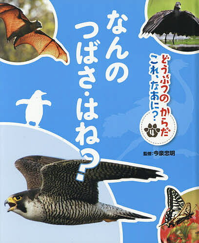 著者今泉忠明(監修)出版社ポプラ社発売日2017年04月ISBN9784591153468ページ数47Pキーワードプレゼント ギフト 誕生日 子供 クリスマス 子ども こども どうぶつのからだこれなあに4 ドウブツノカラダコレナアニ4 いま...