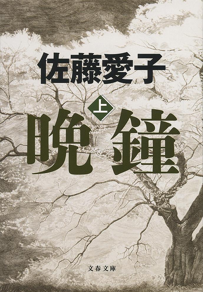 ※商品画像はイメージや仮デザインが含まれている場合があります。帯の有無など実際と異なる場合があります。著者佐藤愛子(著)出版社文藝春秋発売日2017年09月ISBN9784167909192ページ数218Pキーワードばんしよう1 バンシヨウ...