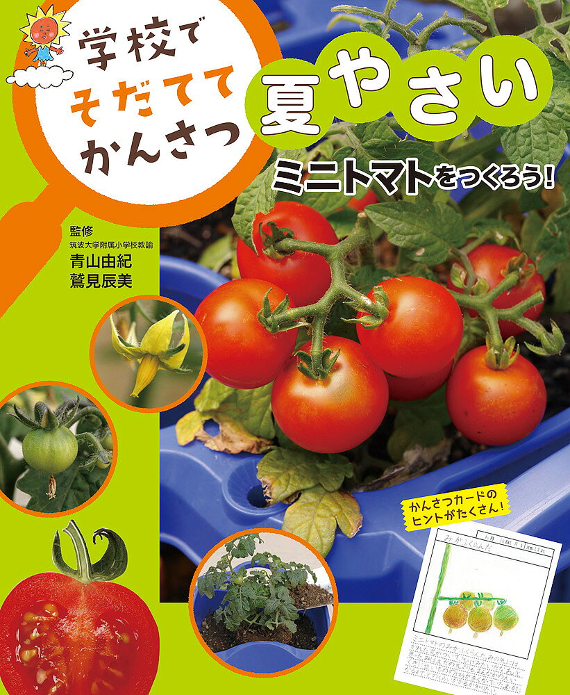 著者青山由紀(監修) 鷲見辰美(監修)出版社あかね書房発売日2018年04月ISBN9784251092267ページ数39Pキーワードプレゼント ギフト 誕生日 子供 クリスマス 子ども こども がつこうでそだててかんさつなつやさい1 ガツ...