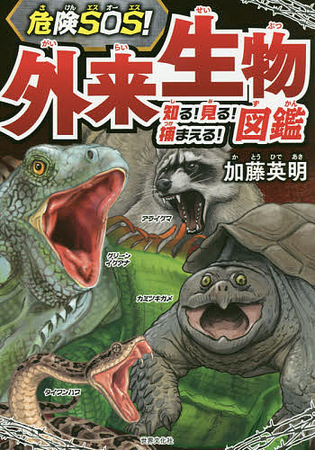 著者加藤英明(著)出版社世界文化社発売日2018年07月ISBN9784418182275ページ数127Pキーワードプレゼント ギフト 誕生日 子供 クリスマス 子ども こども きけんえすおーえすがいらいせいぶつずかんきけん／S キケンエス...