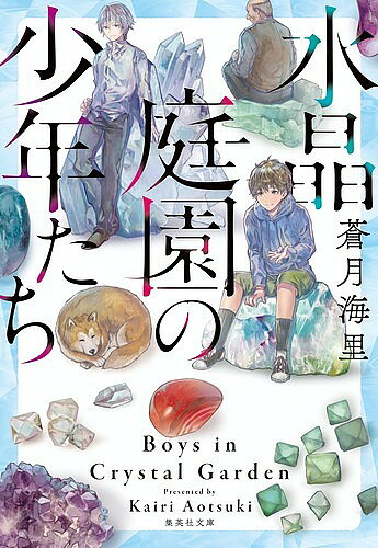 著者蒼月海里(著)出版社集英社発売日2018年11月ISBN9784087458138ページ数213Pキーワードすいしようていえんのしようねんたちしゆうえいしやぶ スイシヨウテイエンノシヨウネンタチシユウエイシヤブ あおつき かいり アオツ...