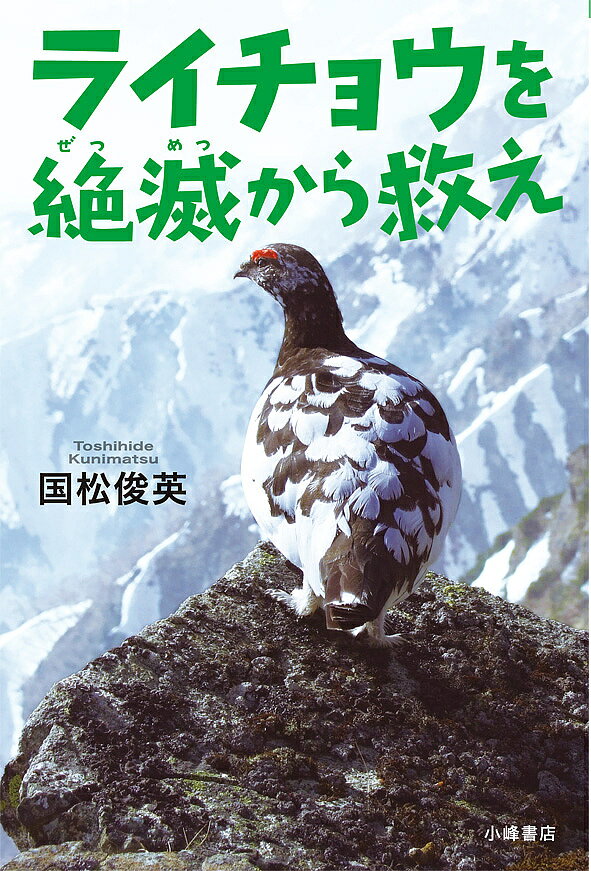 ※商品画像はイメージや仮デザインが含まれている場合があります。帯の有無など実際と異なる場合があります。著者国松俊英(著)出版社小峰書店発売日2018年12月ISBN9784338321013ページ数175Pキーワードプレゼント ギフト 誕生...