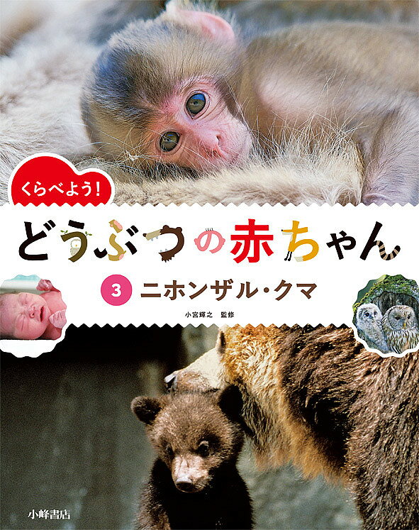 ※商品画像はイメージや仮デザインが含まれている場合があります。帯の有無など実際と異なる場合があります。著者小宮輝之(監修)出版社小峰書店発売日2018年04月ISBN9784338316033ページ数31Pキーワードプレゼント ギフト 誕生...