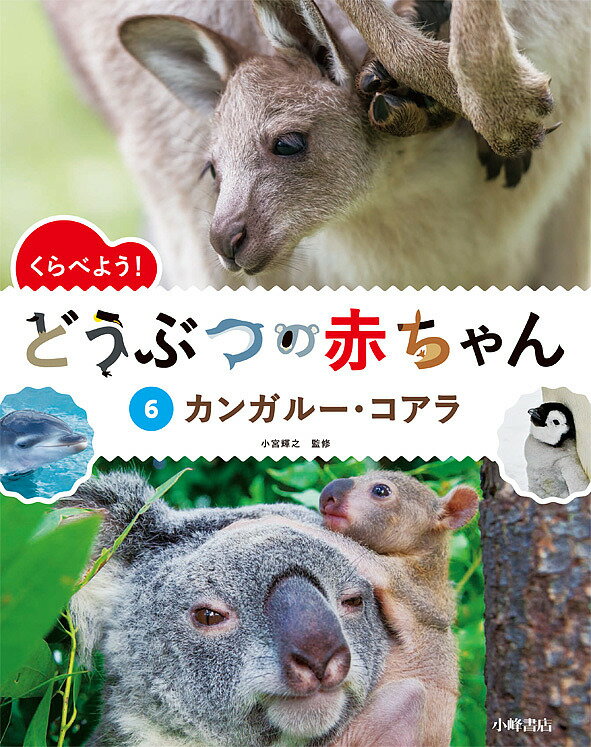 著者小宮輝之(監修)出版社小峰書店発売日2018年04月ISBN9784338316064ページ数31Pキーワードプレゼント ギフト 誕生日 子供 クリスマス 子ども こども くらべようどうぶつのあかちやん6 クラベヨウドウブツノアカチヤン...