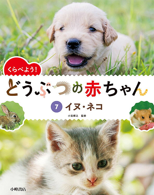 著者小宮輝之(監修)出版社小峰書店発売日2018年04月ISBN9784338316071ページ数31Pキーワードプレゼント ギフト 誕生日 子供 クリスマス 子ども こども くらべようどうぶつのあかちやん7 クラベヨウドウブツノアカチヤン...