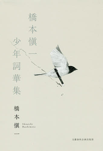 著者橋本愼一(著)出版社文藝春秋企画出版部発売日2019年07月ISBN9784160089532ページ数141Pキーワードはしもとしんいちしようねんしかしゆうおやすみなさい ハシモトシンイチシヨウネンシカシユウオヤスミナサイ はしもと し...