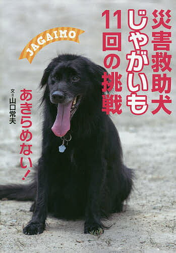 ※商品画像はイメージや仮デザインが含まれている場合があります。帯の有無など実際と異なる場合があります。著者山口常夫(文)出版社岩崎書店発売日2019年11月ISBN9784265840205ページ数143Pキーワードプレゼント ギフト 誕生...