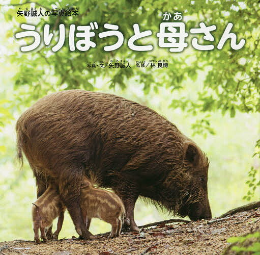 ※商品画像はイメージや仮デザインが含まれている場合があります。帯の有無など実際と異なる場合があります。著者矢野誠人(写真) ・文林良博(監修)出版社大空出版発売日2020年12月ISBN9784903175980ページ数41Pキーワードえほ...