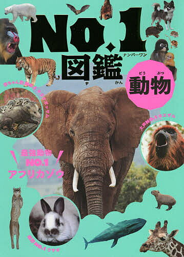 ※商品画像はイメージや仮デザインが含まれている場合があります。帯の有無など実際と異なる場合があります。著者藤原尚太郎(監修)出版社文響社発売日2021年03月ISBN9784866513546ページ数110Pキーワードどうぶつなんばーわんず...