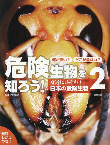 著者小宮輝之(監修)出版社教育画劇発売日2018年02月ISBN9784774621258ページ数61Pキーワードプレゼント ギフト 誕生日 子供 クリスマス 子ども こども なにがこわいどこがあぶないきけん ナニガコワイドコガアブナイキケ...