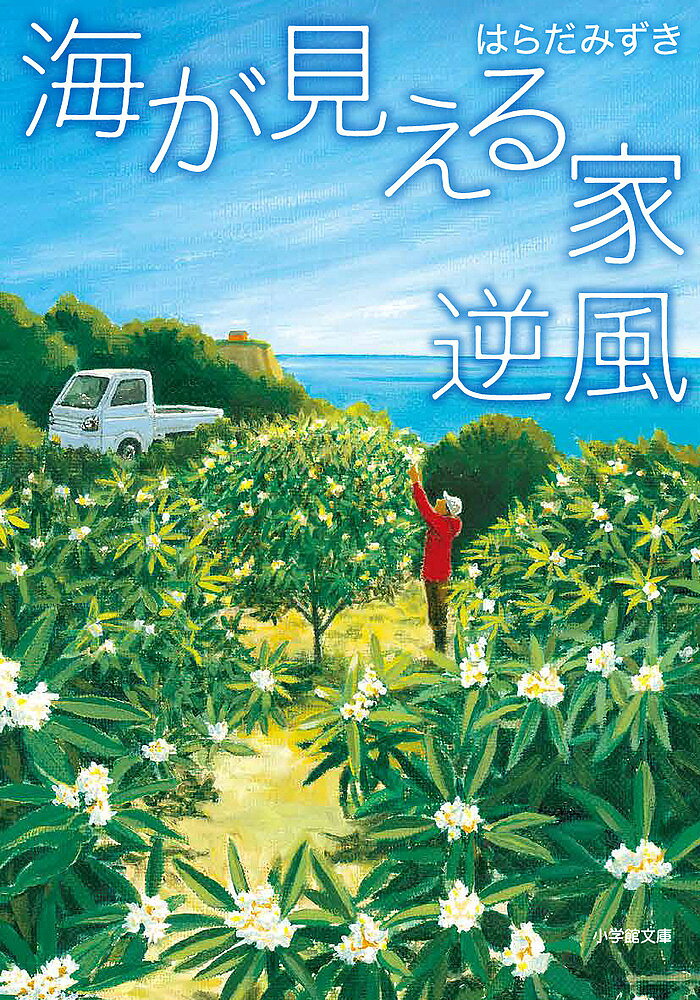 著者はらだみずき(著)出版社小学館発売日2021年09月ISBN9784094070583ページ数285Pキーワードうみがみえるいえぎやくふうしようがくかんぶんこ ウミガミエルイエギヤクフウシヨウガクカンブンコ はらだ みずき ハラダ ミズ...