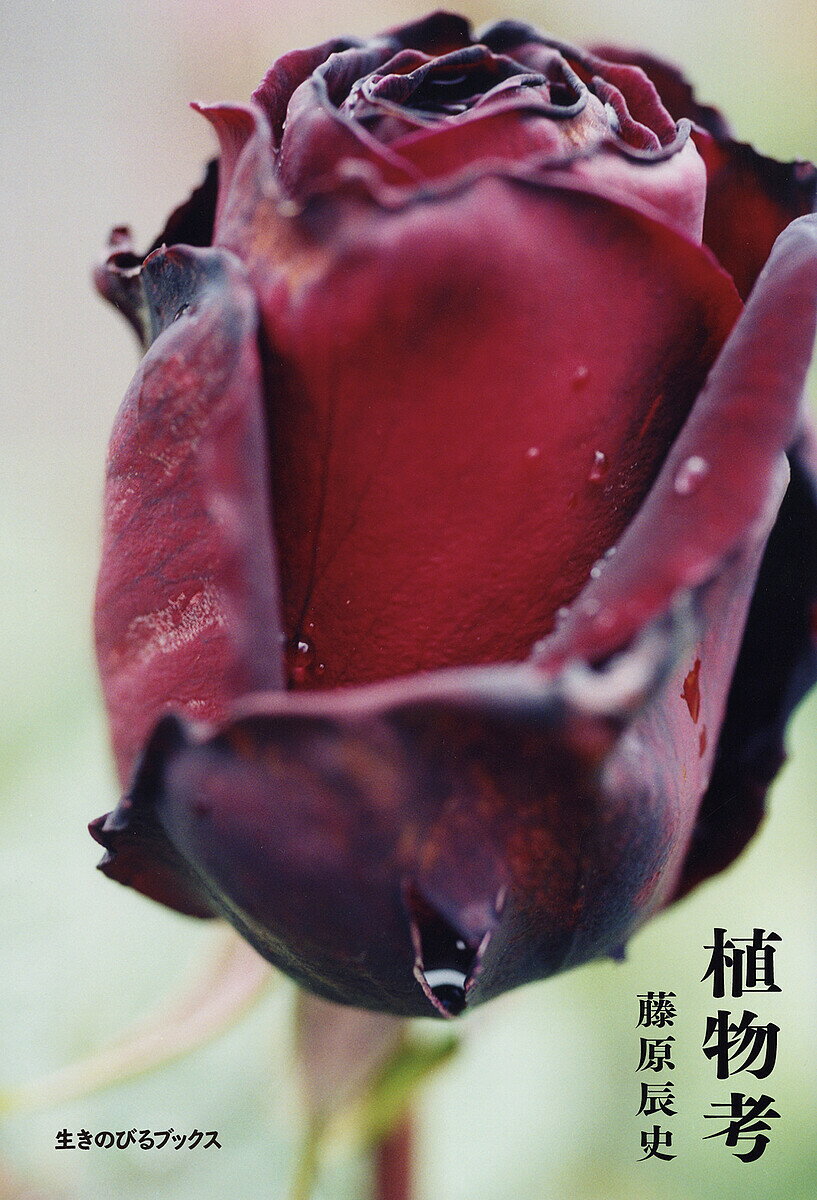 ※商品画像はイメージや仮デザインが含まれている場合があります。帯の有無など実際と異なる場合があります。著者藤原辰史(著)出版社生きのびるブックス発売日2022年11月ISBN9784910790077ページ数232Pキーワードしよくぶつこう...